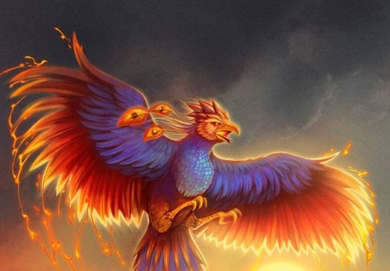 The Phoenix of Identity. Since I was 15, I was eager to leave my… | by ...