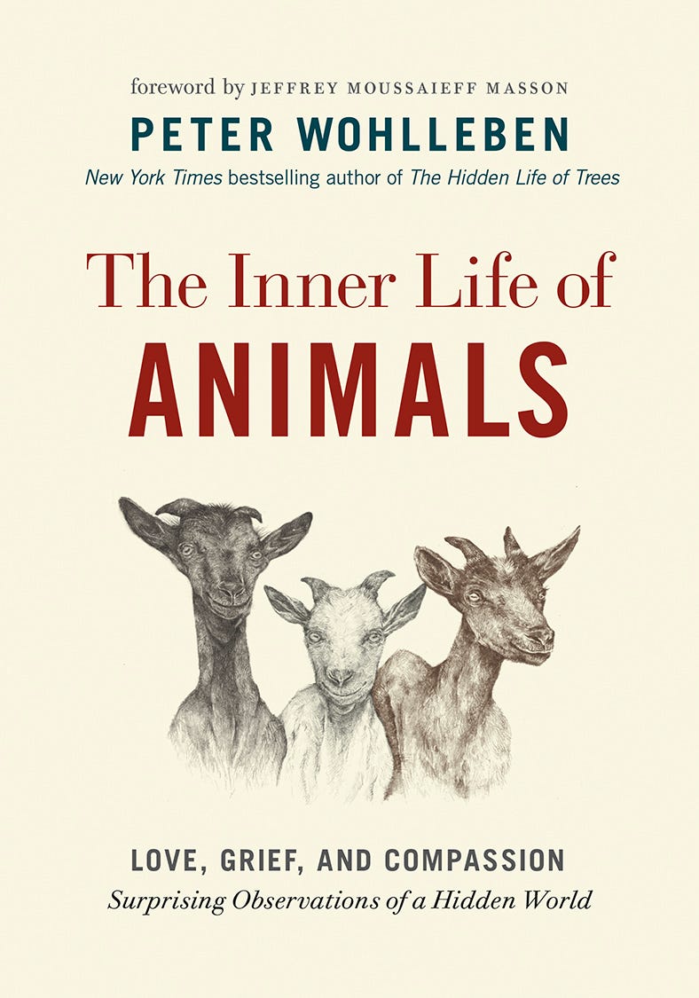 Everything You Wanted To Know About The Hidden Life of Animals | by ...
