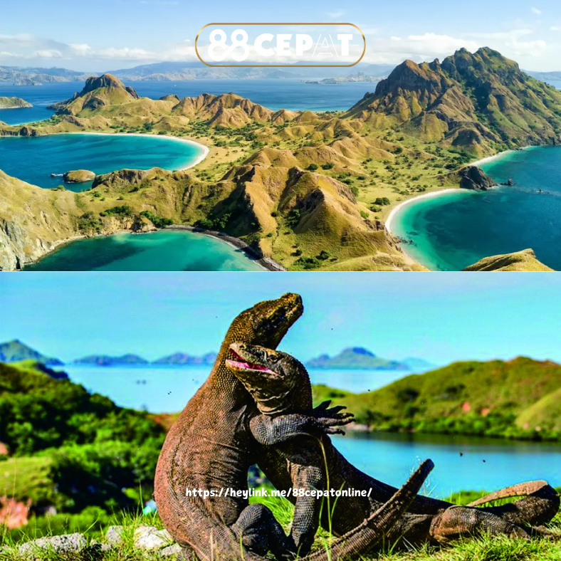 PULAU KOMODO. Pulau Komodo adalah sebuah pulau yang… | by KINZZ | Jan ...