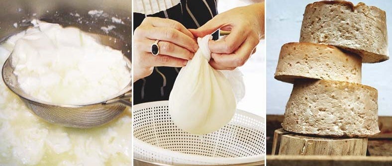 How make cheese at home. perthcityfarm | by Waqar Ali | Oct, 2024 | Medium