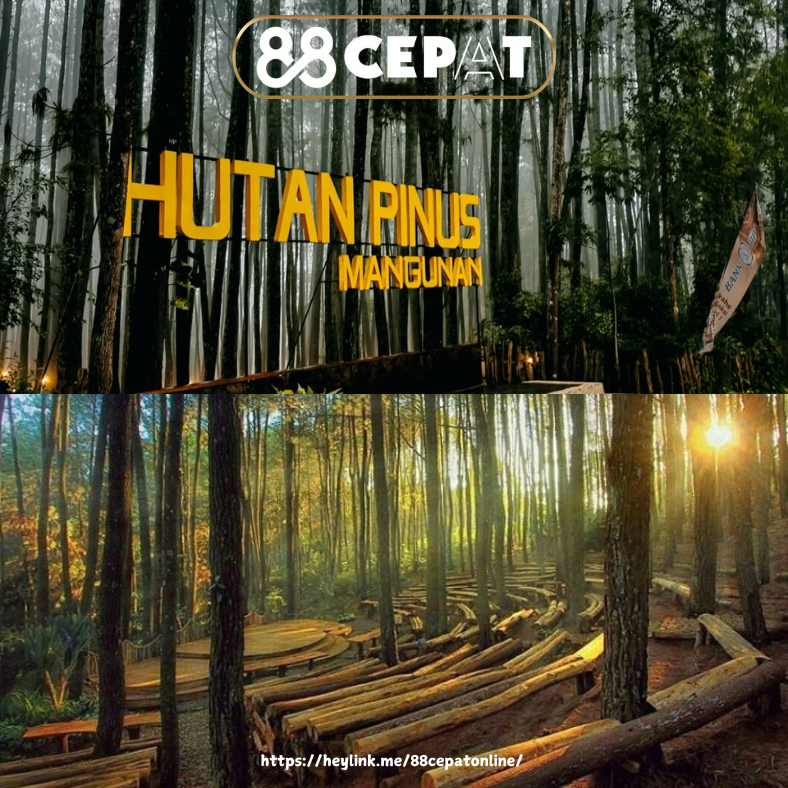 HUTAN PINUS - KINZZ - Medium