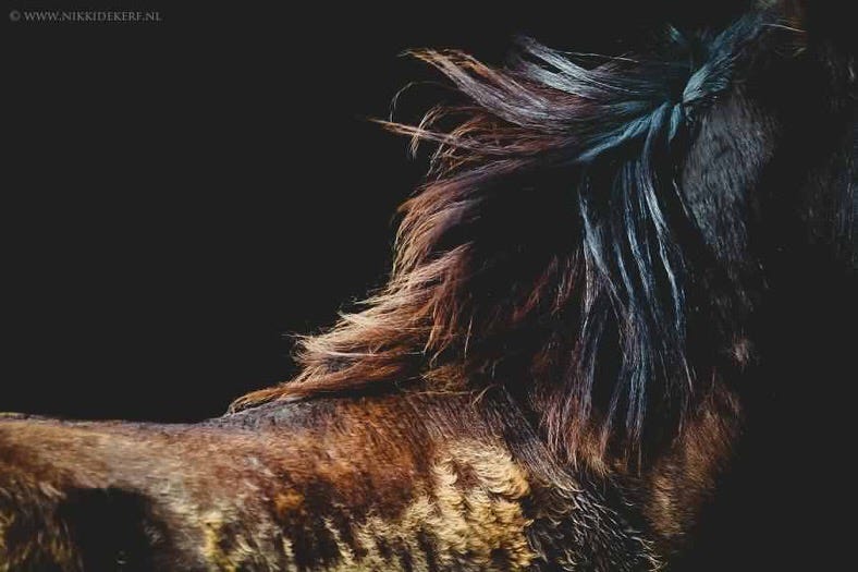 Nikki de Kerf. Dutch photographer Nikki de Kerf (b… | by Joyce Ter ...