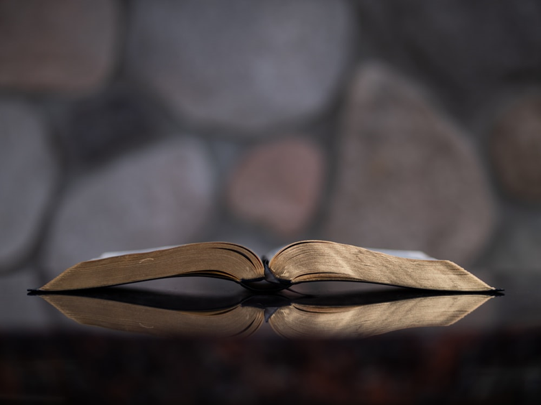 What is a Prologue and Do You Need It | by Elayne Law | Medium
