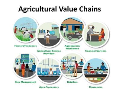 Agricultural Value Chain Analysis