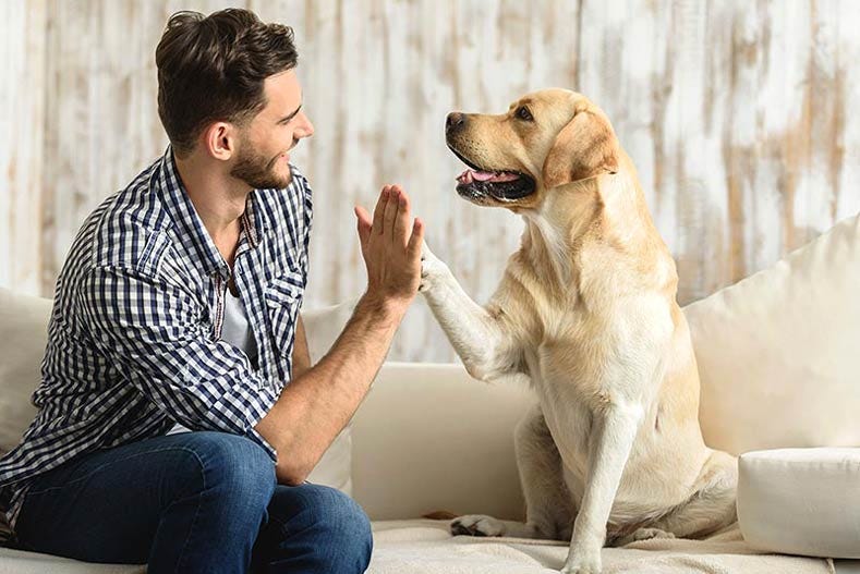 5 Ways Dogs Benefit the Mental and Physical Health of Humans ...