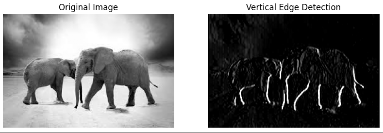 Working with CNNs. Convolutional Neural Networks (CNNs)… | by Rotich Kibet | Mar, 2025 | Medium