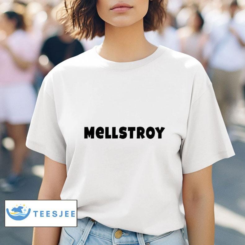 Mellstroy Shirt - Fairy Class - Medium