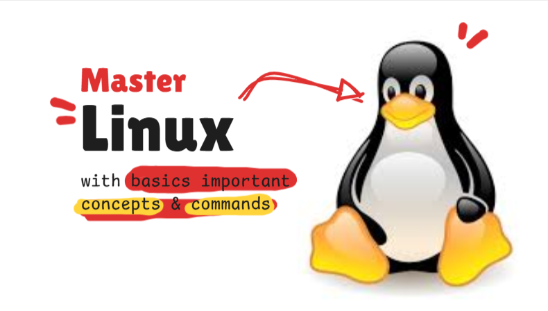 Master Linux 0 to 100 — with just these commands | by Kumar | Career Drill | Feb, 2025 | Medium