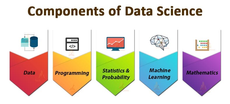 Basic Components That Make Up Data Science - Divyanshi kulkarni - Medium