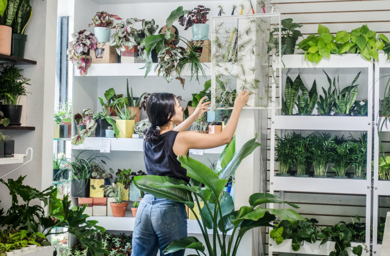 Turn your apartment into a garden with this expert advice from The Sill ...