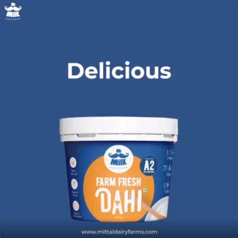 Desi Cow Dahi | Mr. Milk - Mr. Milk - Medium