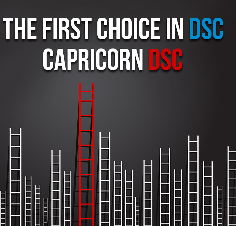 A Complete Process For Using A DSC | by Capricornca | Medium