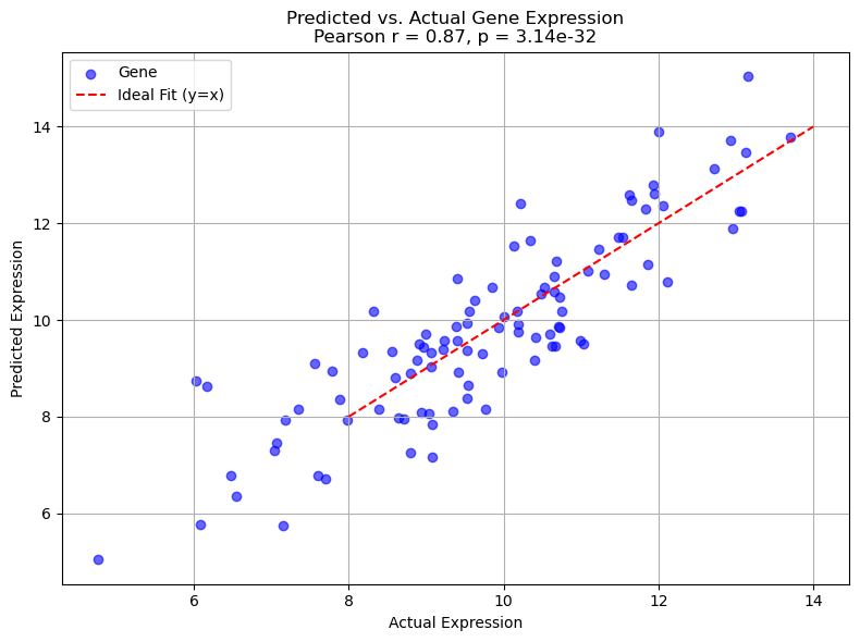 🧬 Predicting Gene Expression From Dna Sequence Using Deep Learning Models By Nana Safo Duker