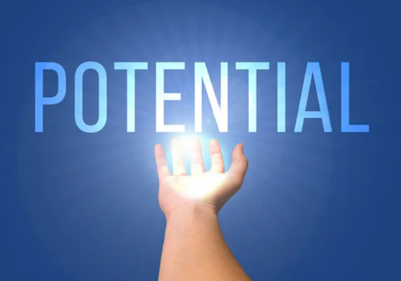 Unleashing Potentials with eXo Platform | by Didi Lama | Jul, 2024 | Medium