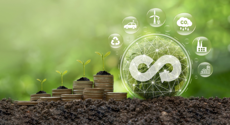 The Circular Economy: Redefining Waste and Value | by Insightful ...