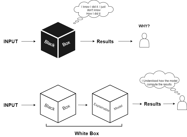 Unmasking The Predictions Understanding Cataract Detection Through Explainable Ai By Rutwik