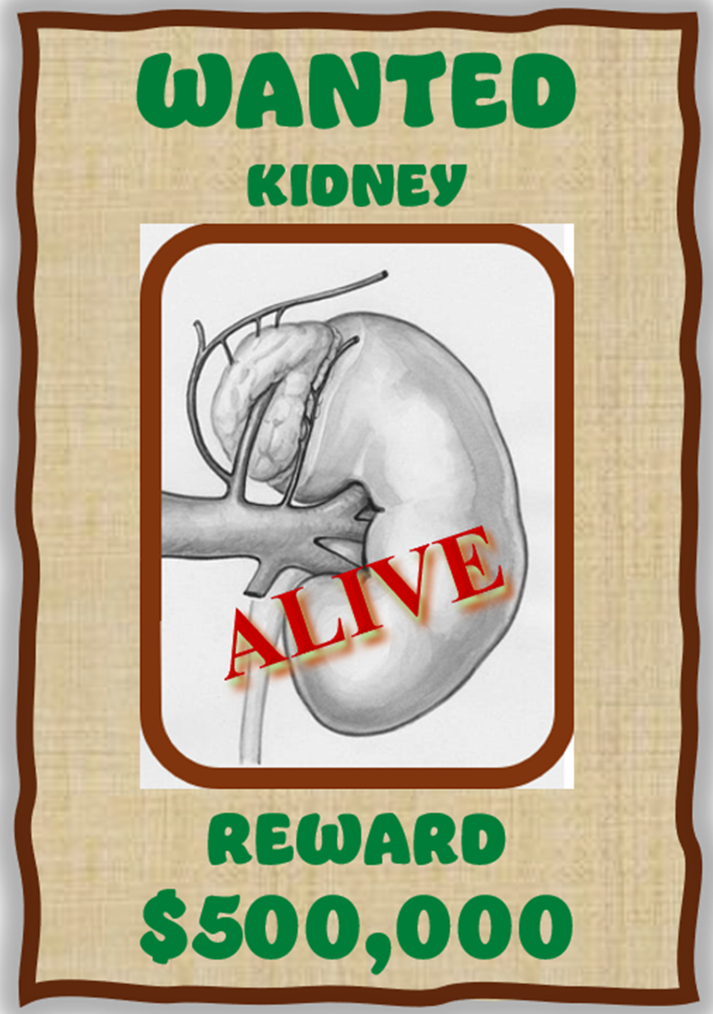 Kidney Donor Laws Discriminate Against the Filthy-Rich Like Me | by Jim ...