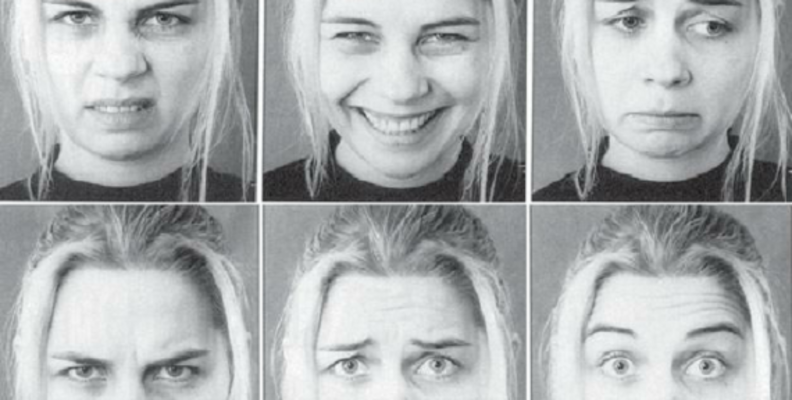 Facial Emotion Expressions. Objective : The objective of this… | by ...