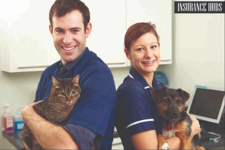 Insider Secrets: Maximizing Benefits with Otto Pet Insurance Unveiled ...