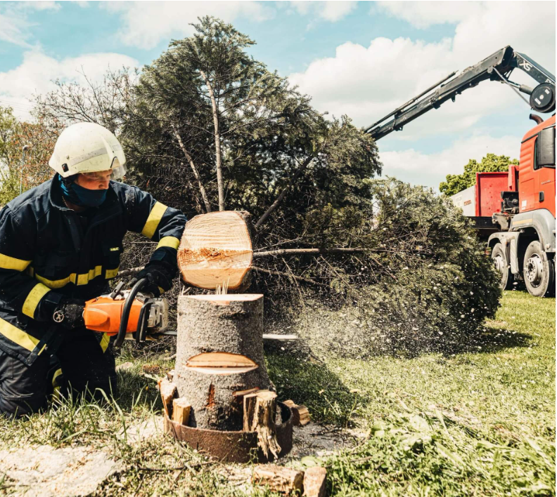 Pasadena Tree Service Pros - Lauren Porter - Medium