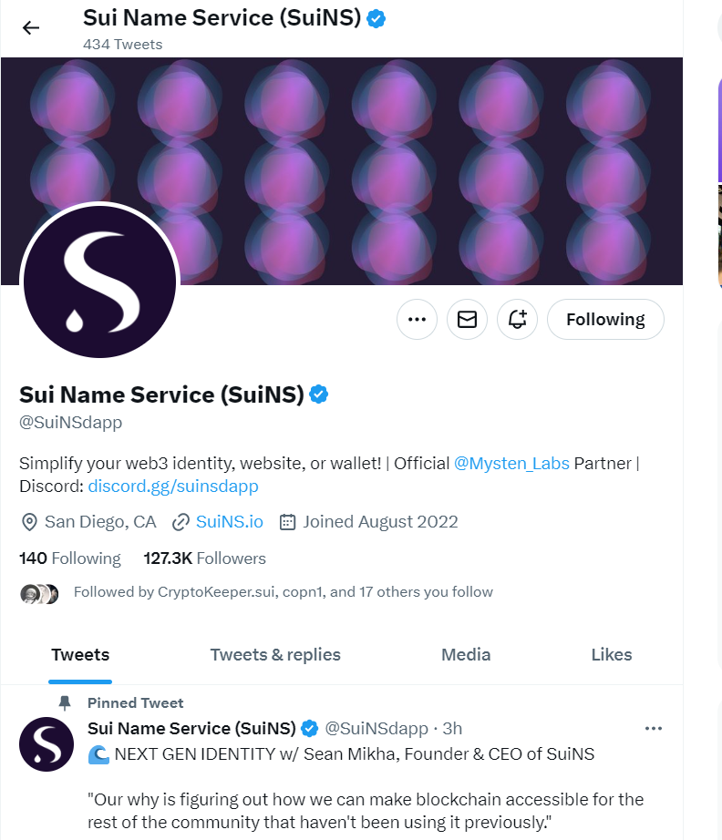 Introducing the SuiNS Project: Revolutionizing the Domain Name Industry ...