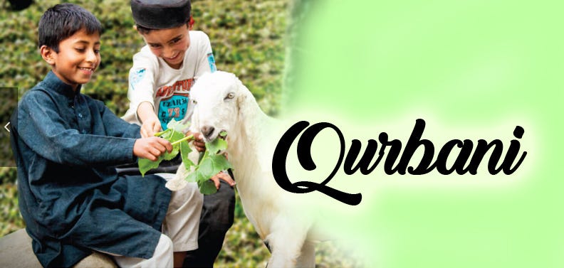 Qurbani (Udhiya) 2023 In Makkah , Part -1 | by Ayazmohammed | Medium