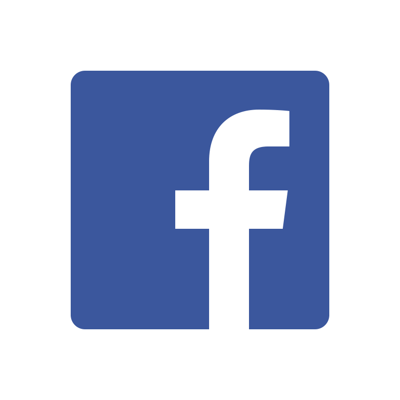Facebook Public Icon