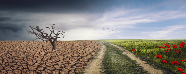 Amit Gupta, CEO of Agrifields DMCC, on the Most Urgent Changes Needed ...