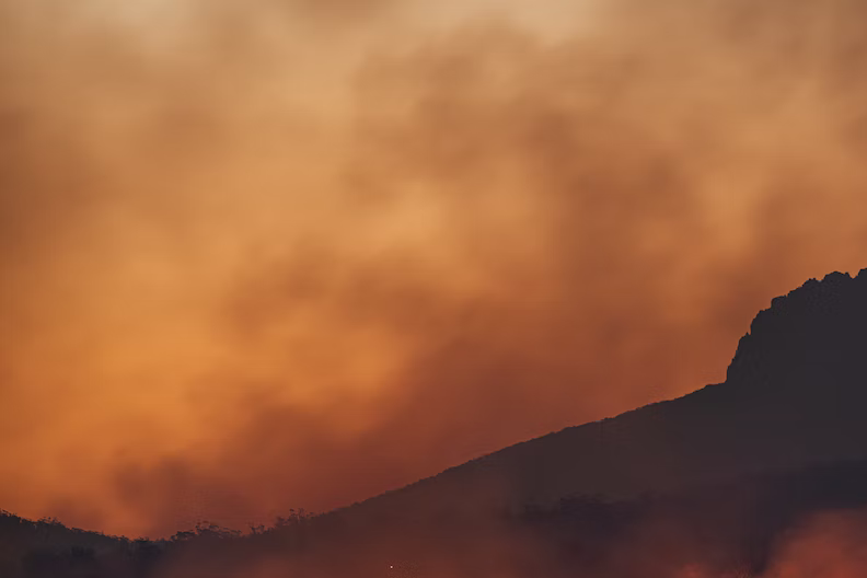 United Nations Discuss Policies to Curb Climate Change’s Consequences ...
