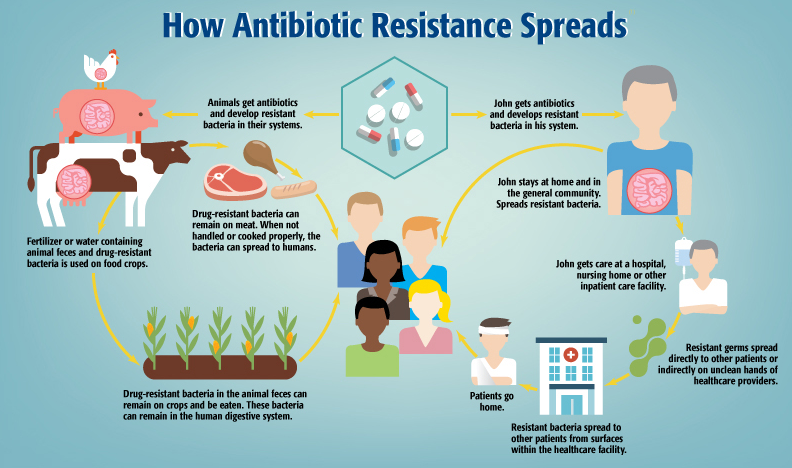 The Hidden Dangers of Antibiotic Overuse and Resistance | by Rabia ...