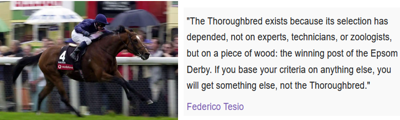 Is The Derby Still The Greatest Stallion-Making Race Of Them All? | by ...