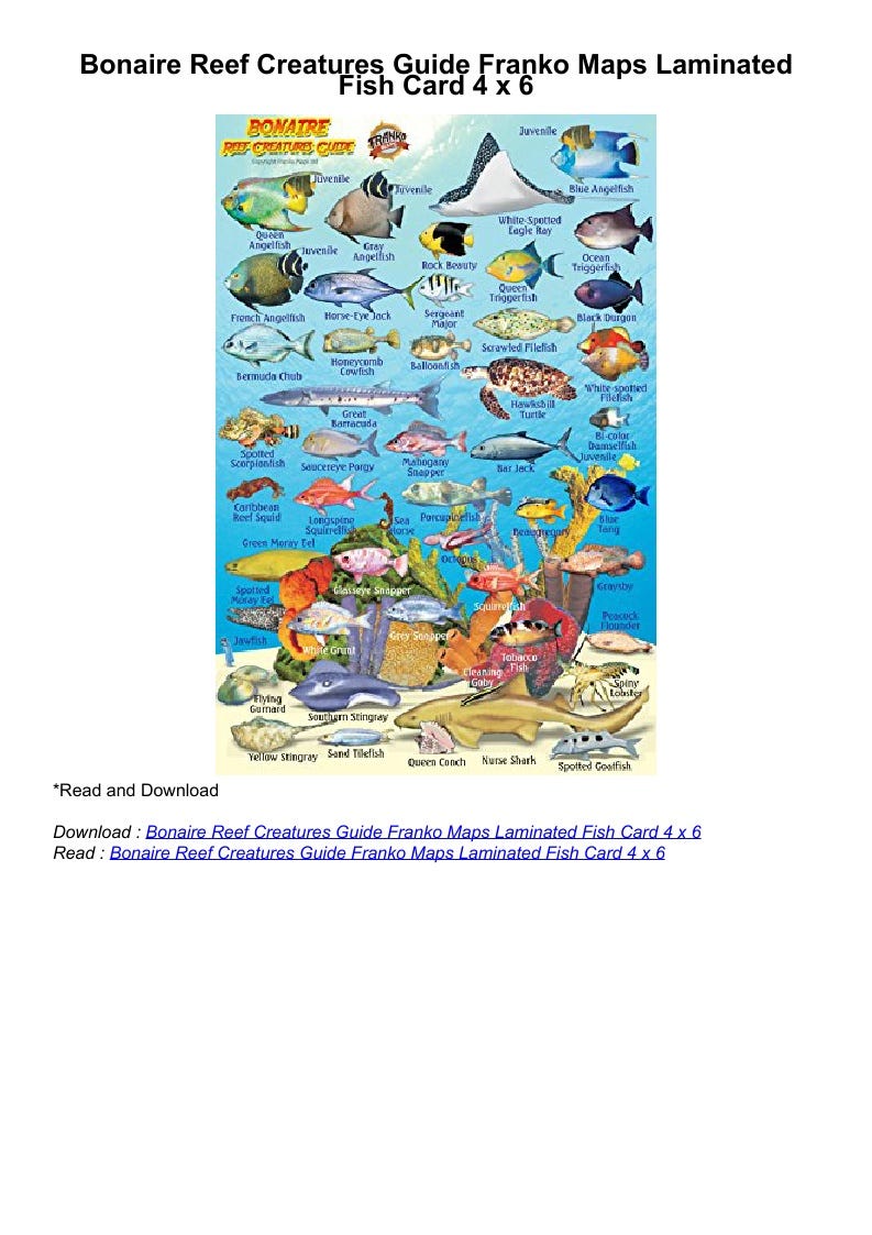 PDF Bonaire Reef Creatures Guide Franko Maps Laminated Fish Card 4 x 6 ...