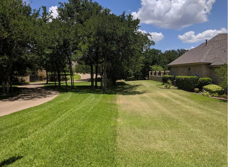 Lawn Yard Care | SoilDrs - soildrs - Medium