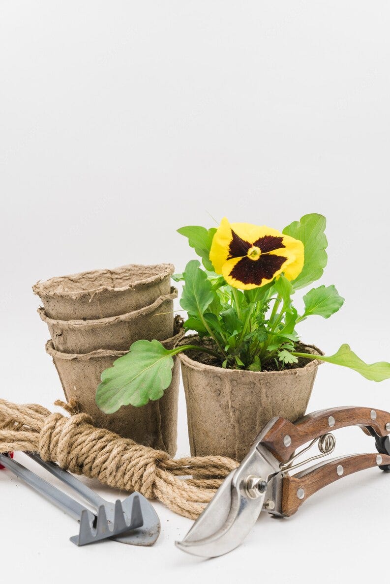 From Clutter to Comfort: Organizing Your Indoor Plants with Plant ...