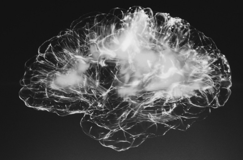 Deep Knowledge and Deep Learning. Brain-Inspired Artificial ...