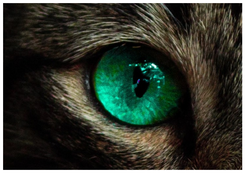 Image Augmentations with Albumentations Python Library -Part1 | by Dr ...