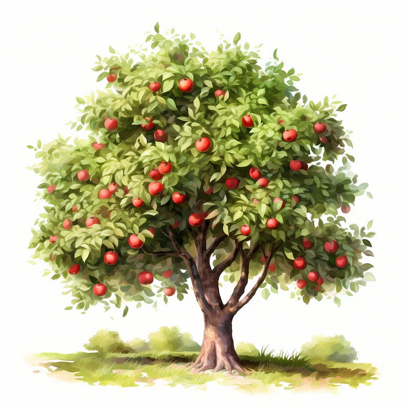 The Apple Tree Allegory: The choice between solidarity or domination ...