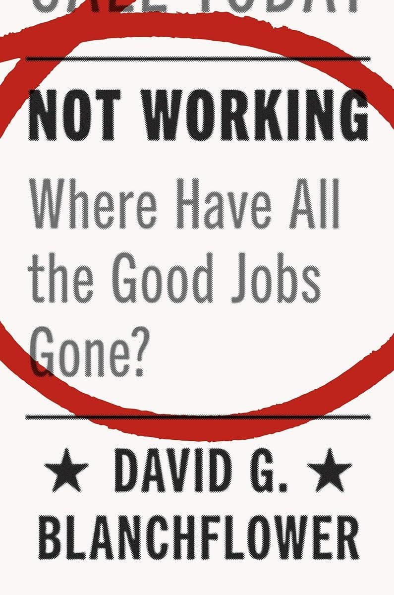 Ebook Not Working: Where Have All the Good Jobs Gone? | by ...