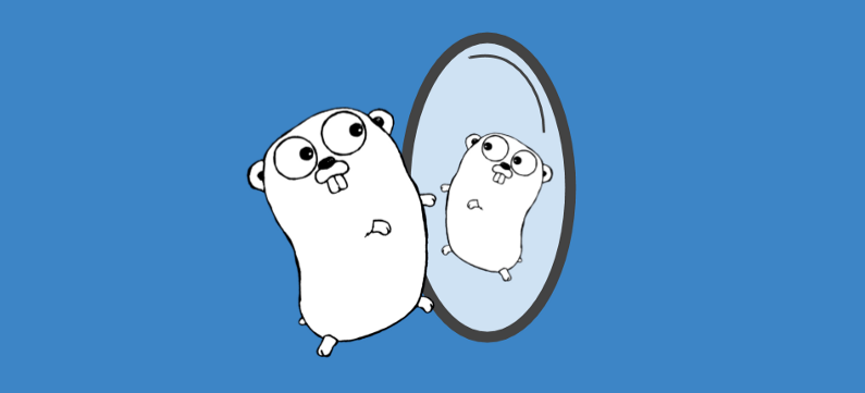 3 Go Reflection Patterns That Will Blow Your Mind (And When to Avoid ...