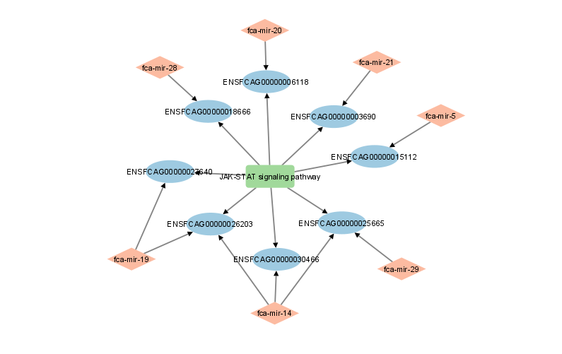 How to use Cytoscape for making interaction networks: 6 simple steps | by The Bioinformatics ...