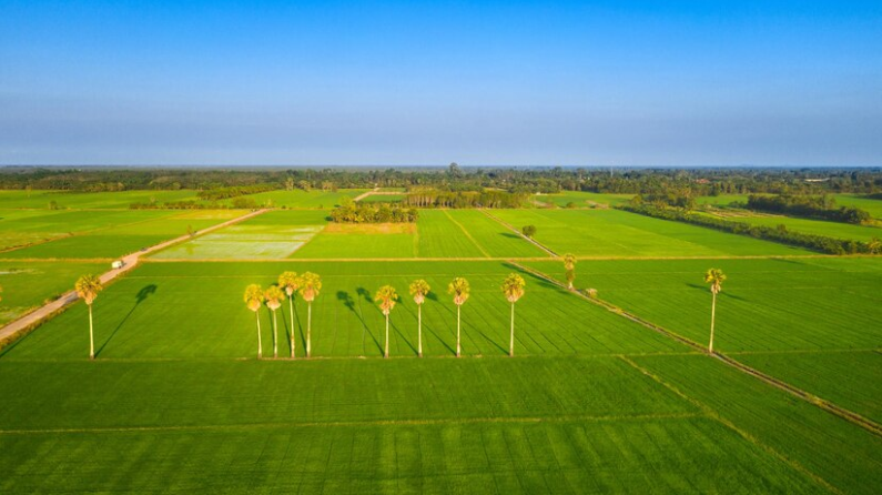 Unveiling Delhi NCR’s Hidden Gem: Farm Plots in Ghitorni, Kapashera ...