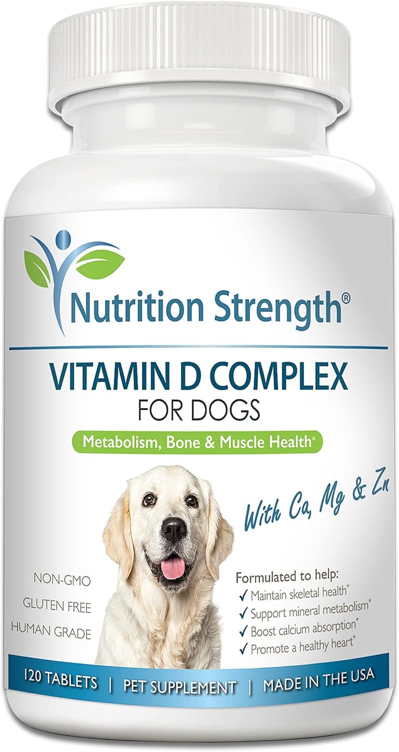 Vitamin D for Dogs: Comprehensive Review | by Pawsome Pet Paradise ...
