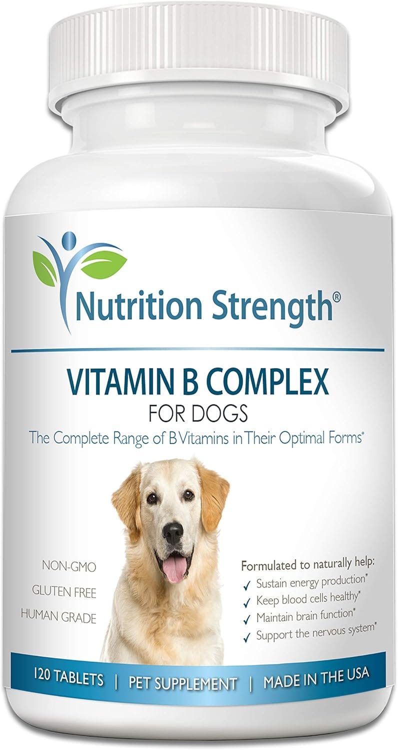 Vitamin B for Dogs: Brain & Energy Booster Review | by Pawsome Pet ...