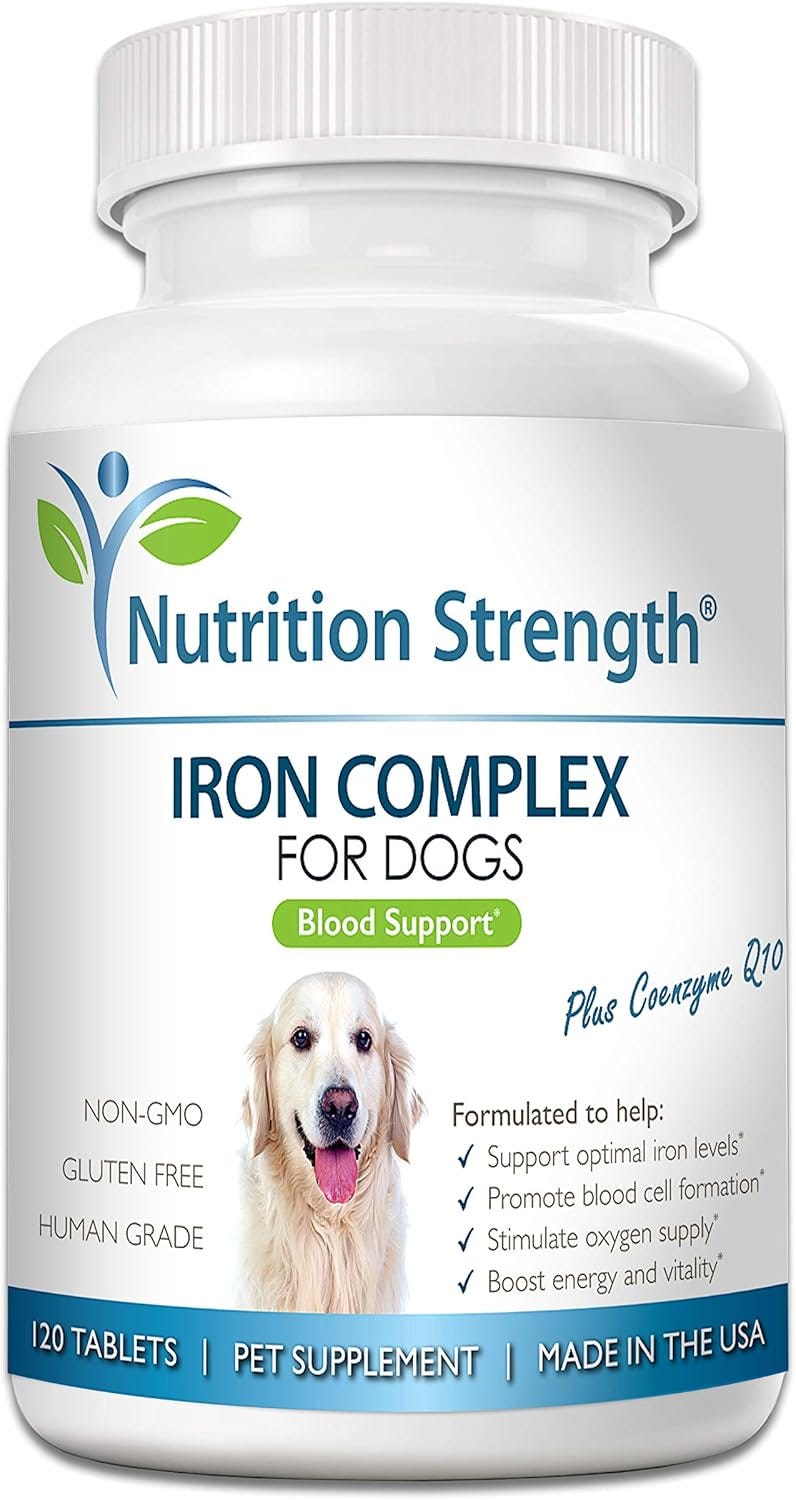 Iron for Dogs: Anemia Support | by Pawsome Pet Paradise | Medium
