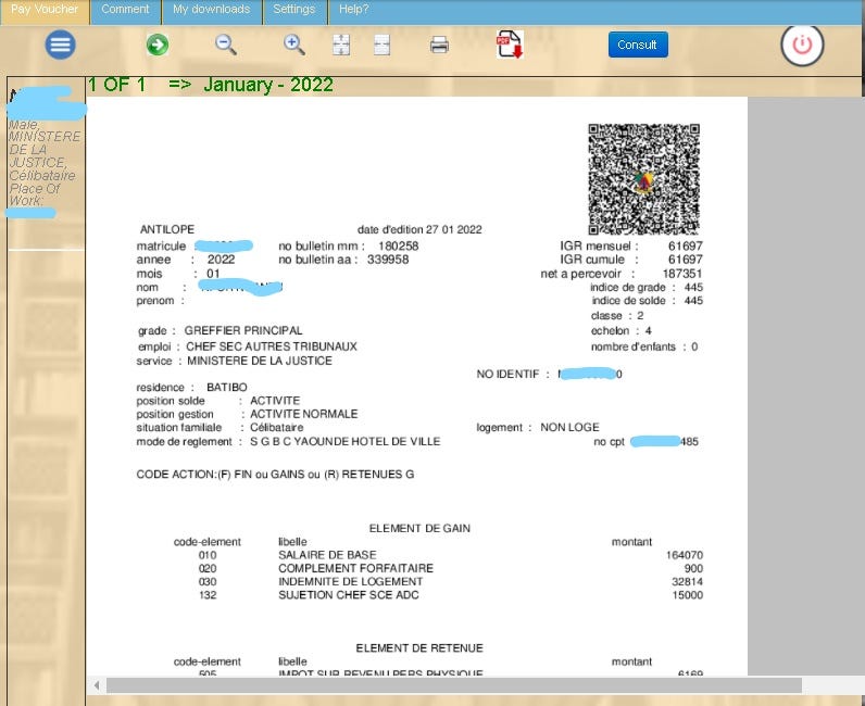 How To Download Payslip In Cameroon For Free Monthly | Create Ebulletin ...