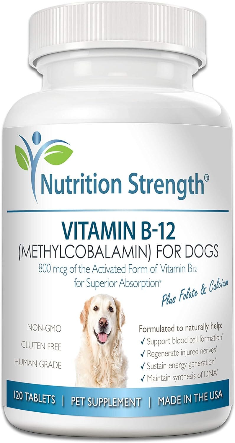 Vitamin B12 for Dogs Review: Energy Boost | by Pawsome Pet Paradise ...
