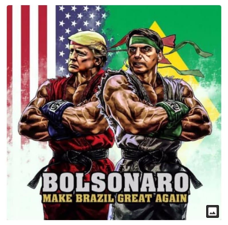 A Pandemia no universo bolsonarista: uma semana em um grupo de ...