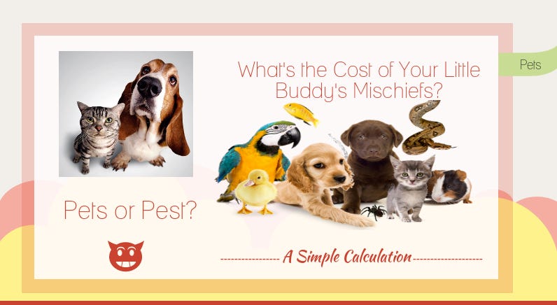 The Cost of Having a Pet at Home [Infographic] | by Amelia Ann Shelby ...