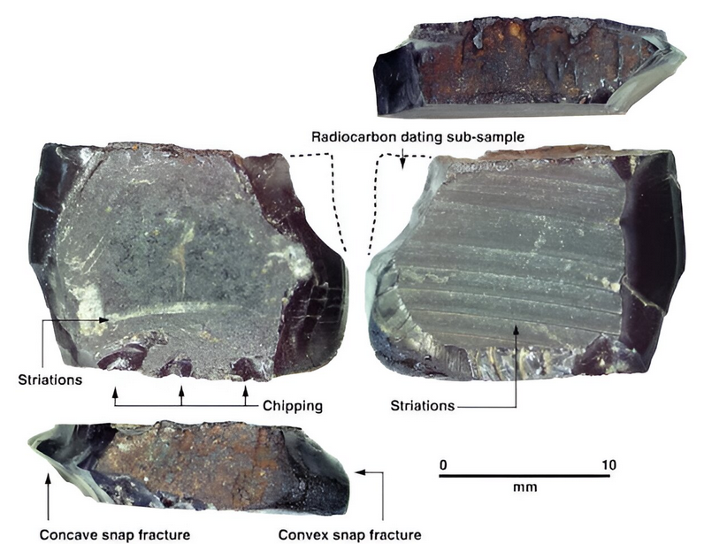 Tree Resin Provides the Earliest Evidence of Humans Arriving in the ...