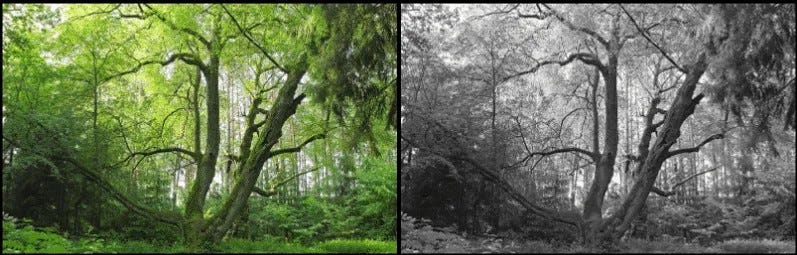 Filtering Techniques In Image Processing | by Pujal More | Medium